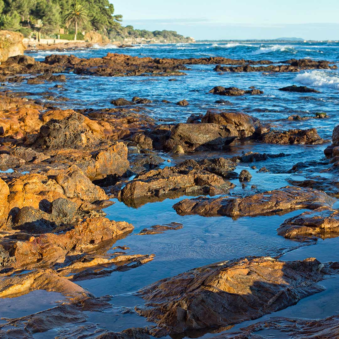 El tiempo en Tolón en agosto